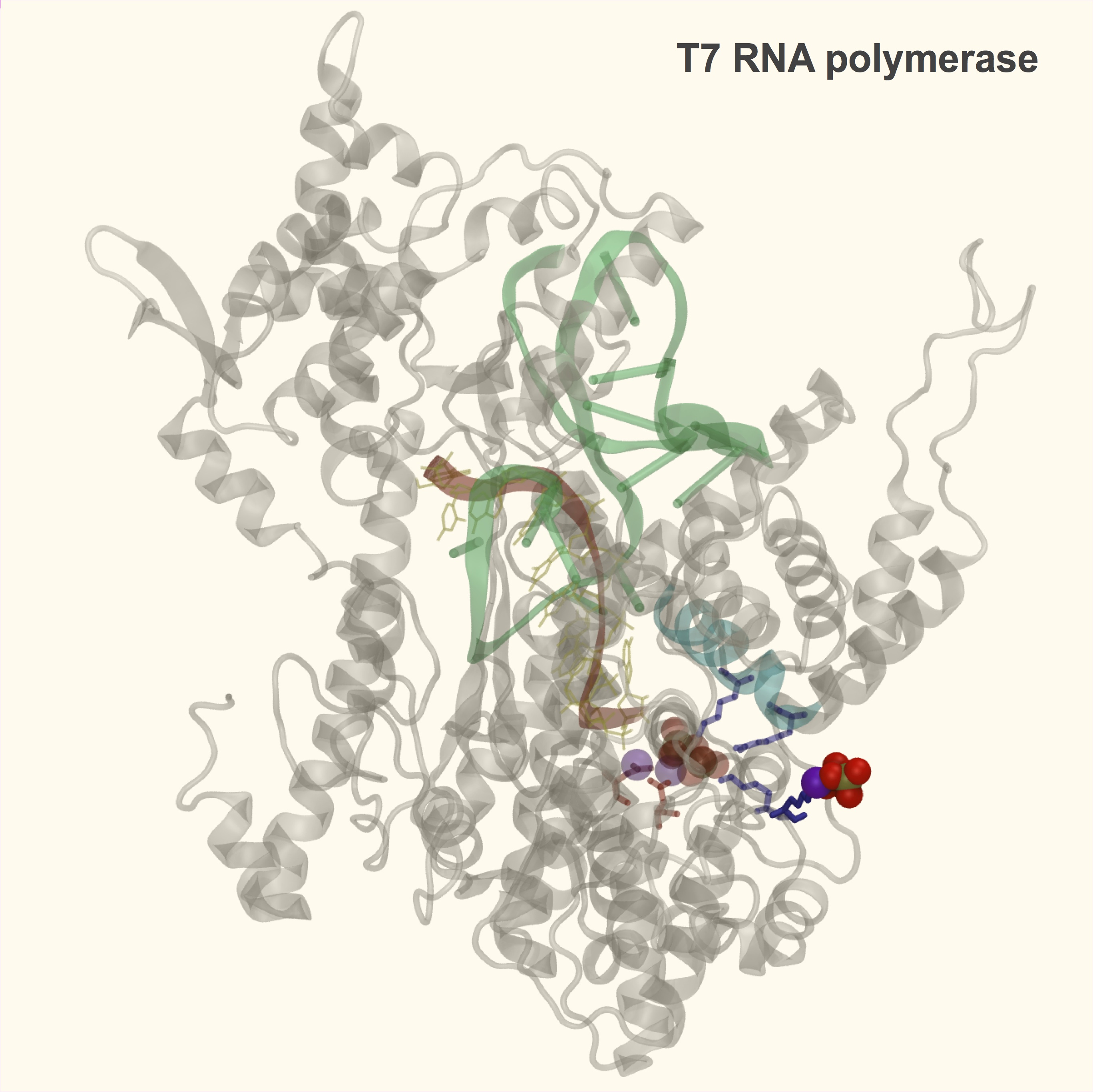 Welcome to Computational Biophysics Group